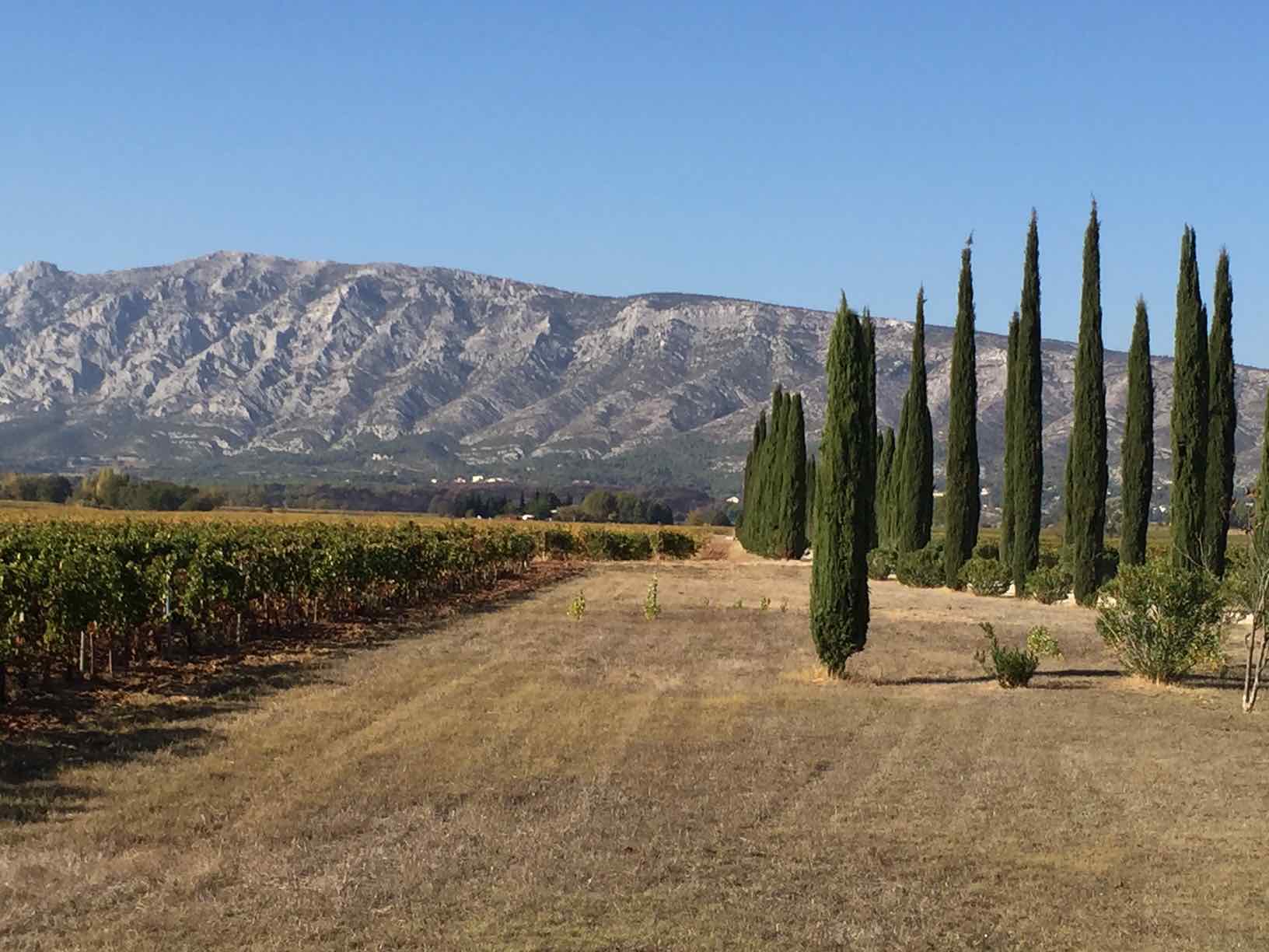 Provence - So much more than just Rosé - Wine Tours and Wine Tasting ...